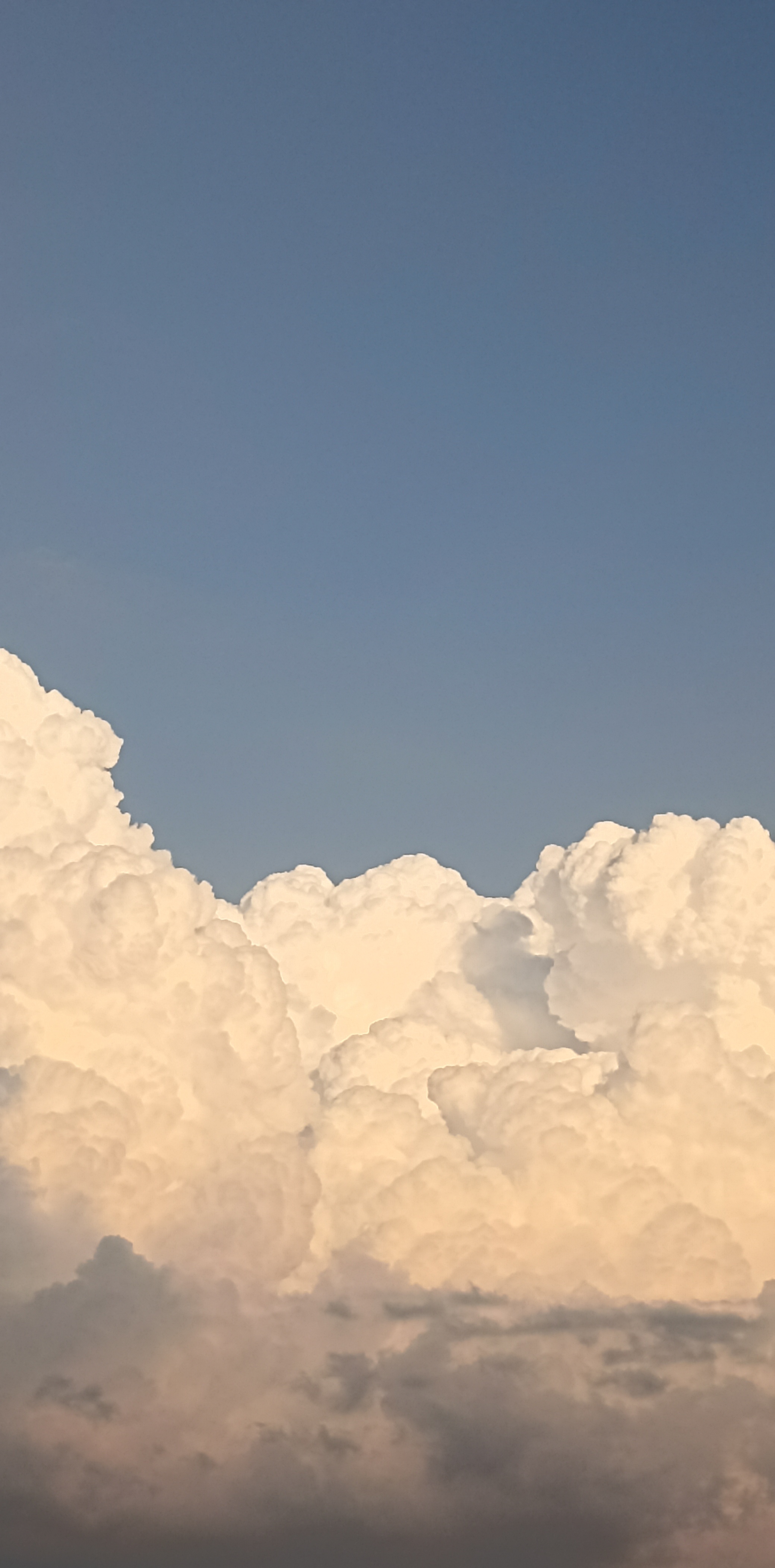 Ping CGM48. Check out these amazing videos! - iAM48 Official Application