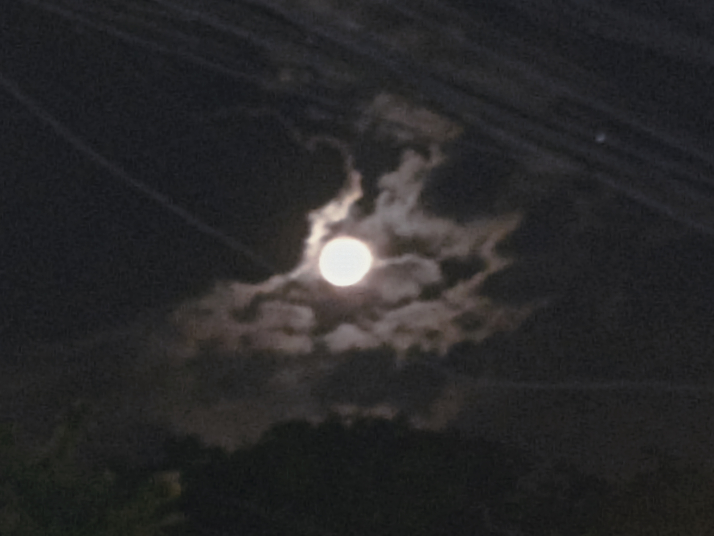 Ping CGM48. Check out these amazing videos! - iAM48 Official Application