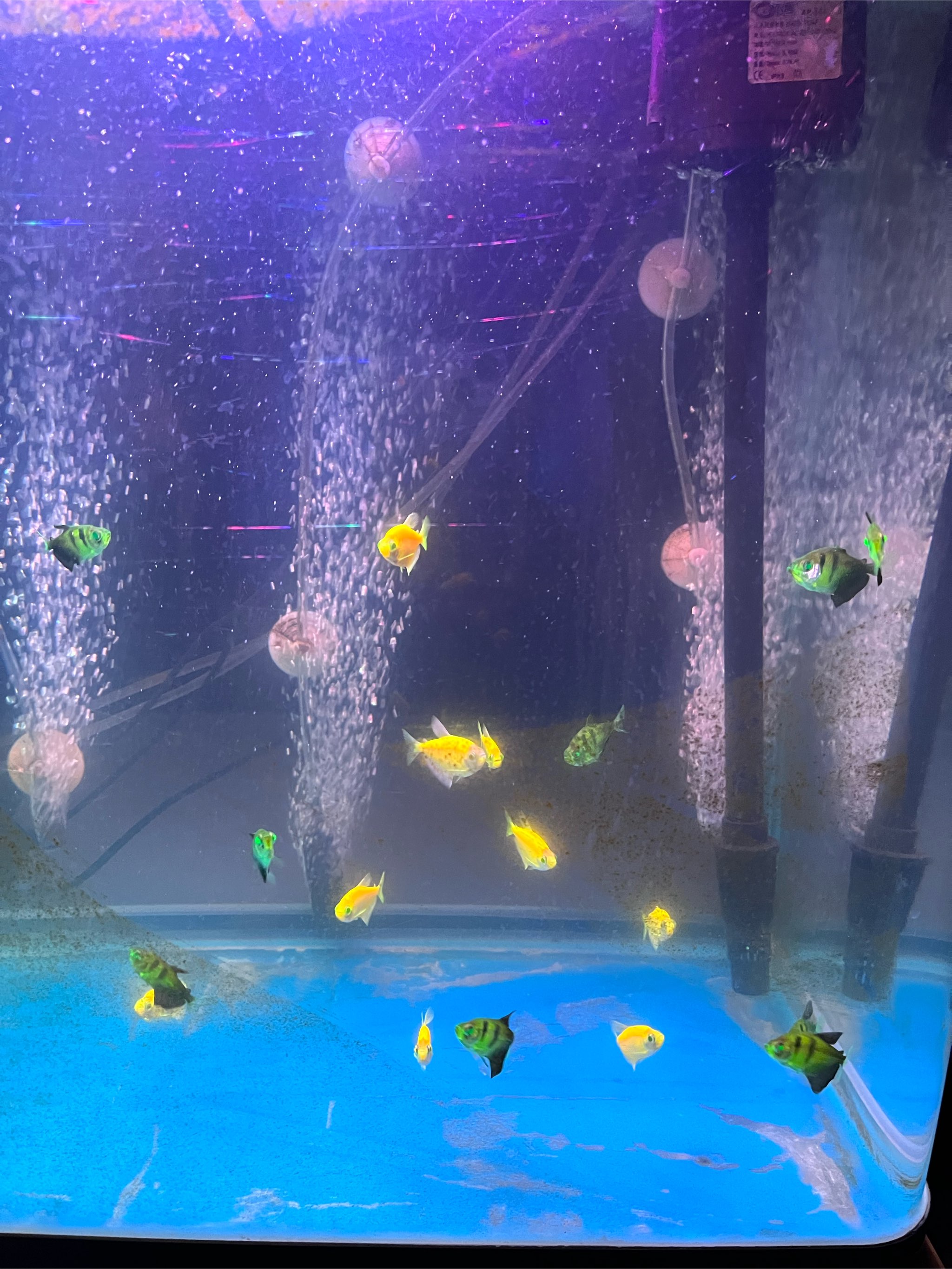 Janry BNK48. Check out these amazing videos! - iAM48 Official Application