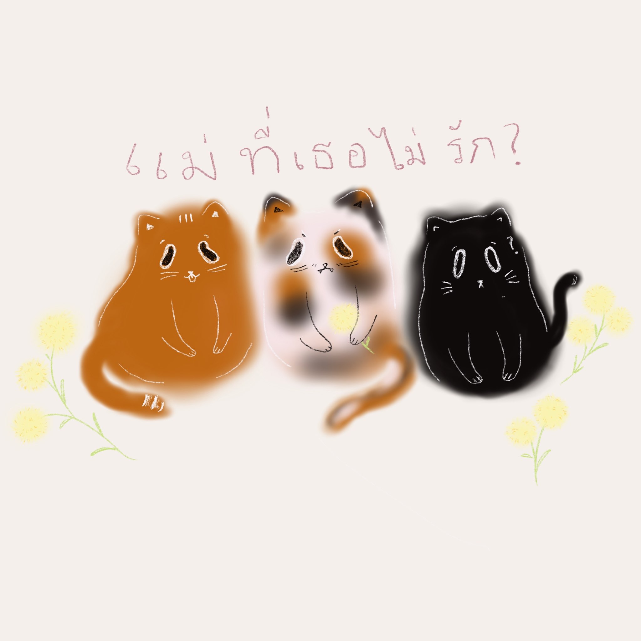 iAM48 Official Application