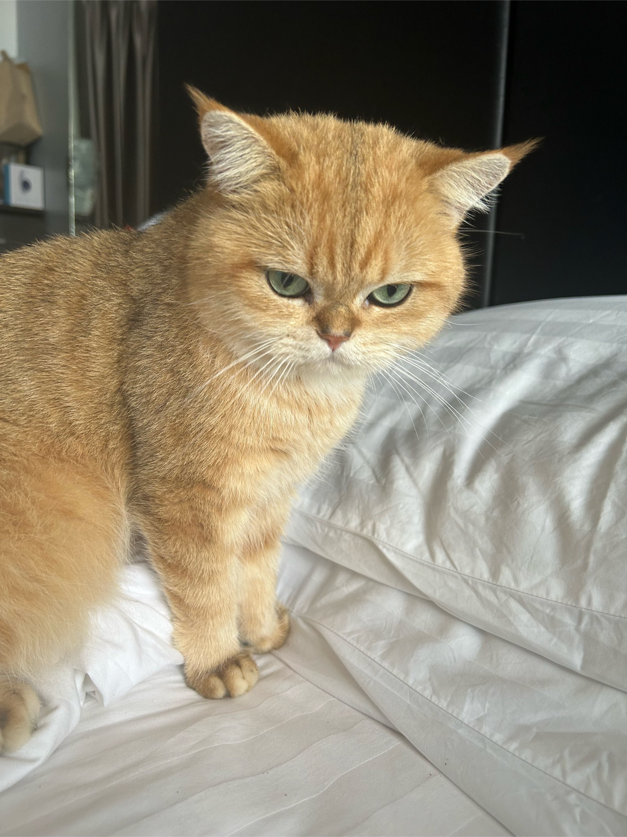 Nene BNK48. Check out these amazing videos! - iAM48 Official Application