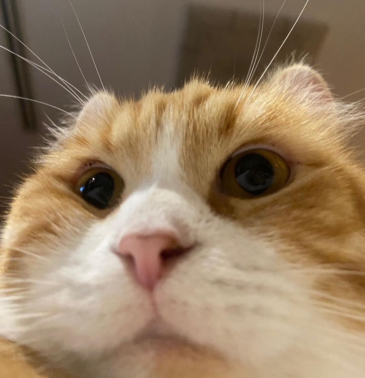 Nene BNK48. Check out these amazing videos! - iAM48 Official Application