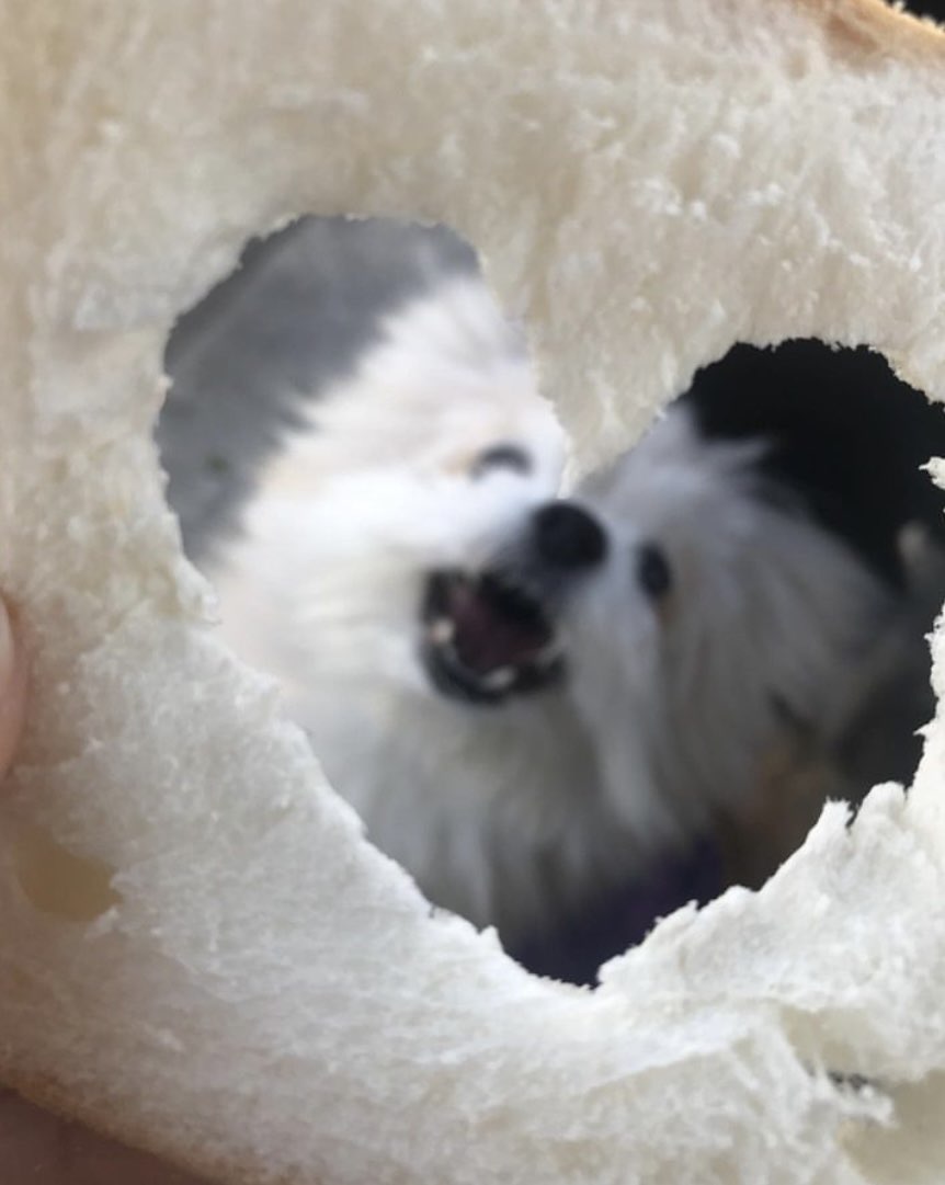 Prae CGM48. Check out these amazing videos! - iAM48 Official Application