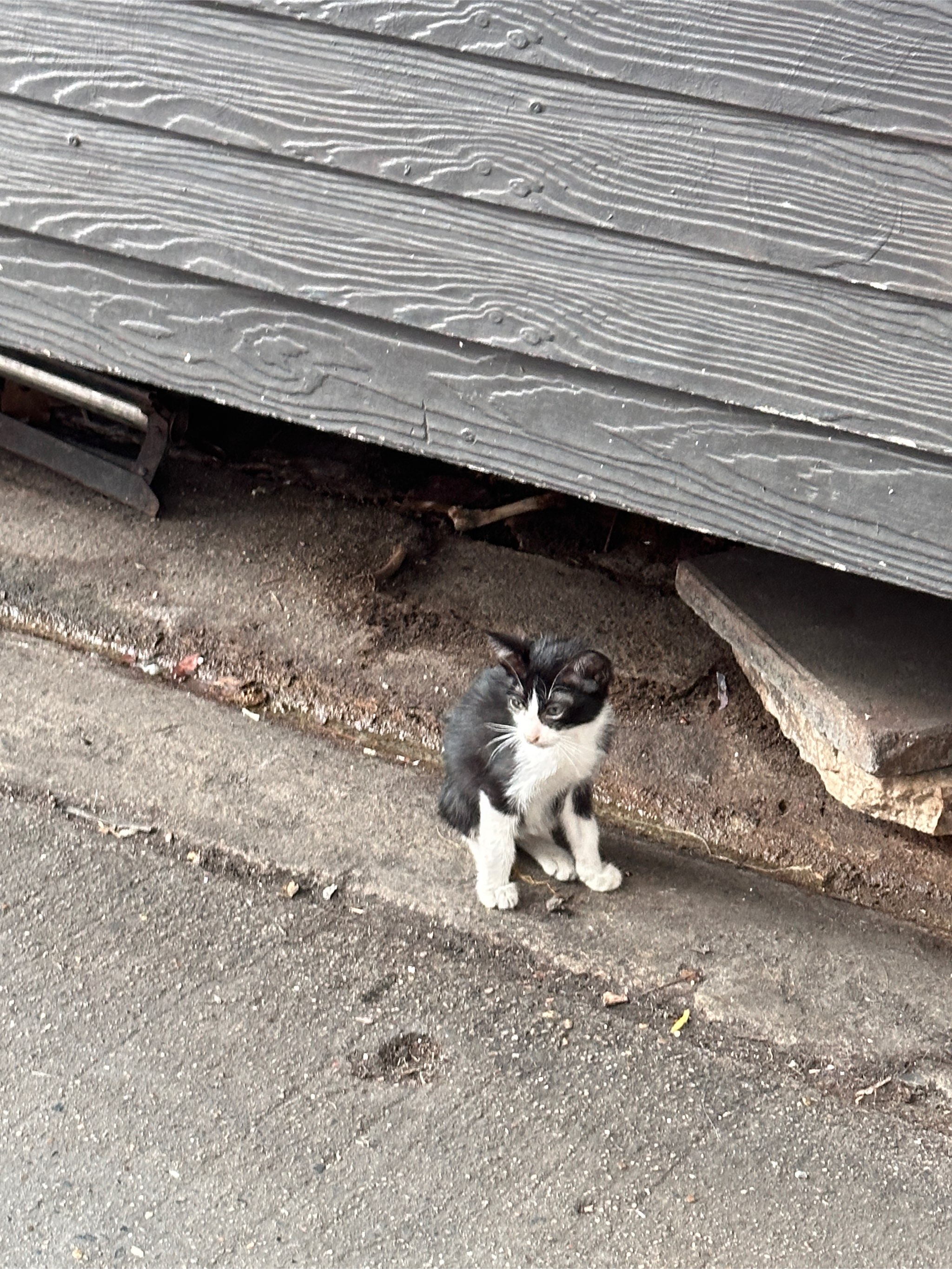 Marine BNK48. Check out these amazing videos! - iAM48 Official Application