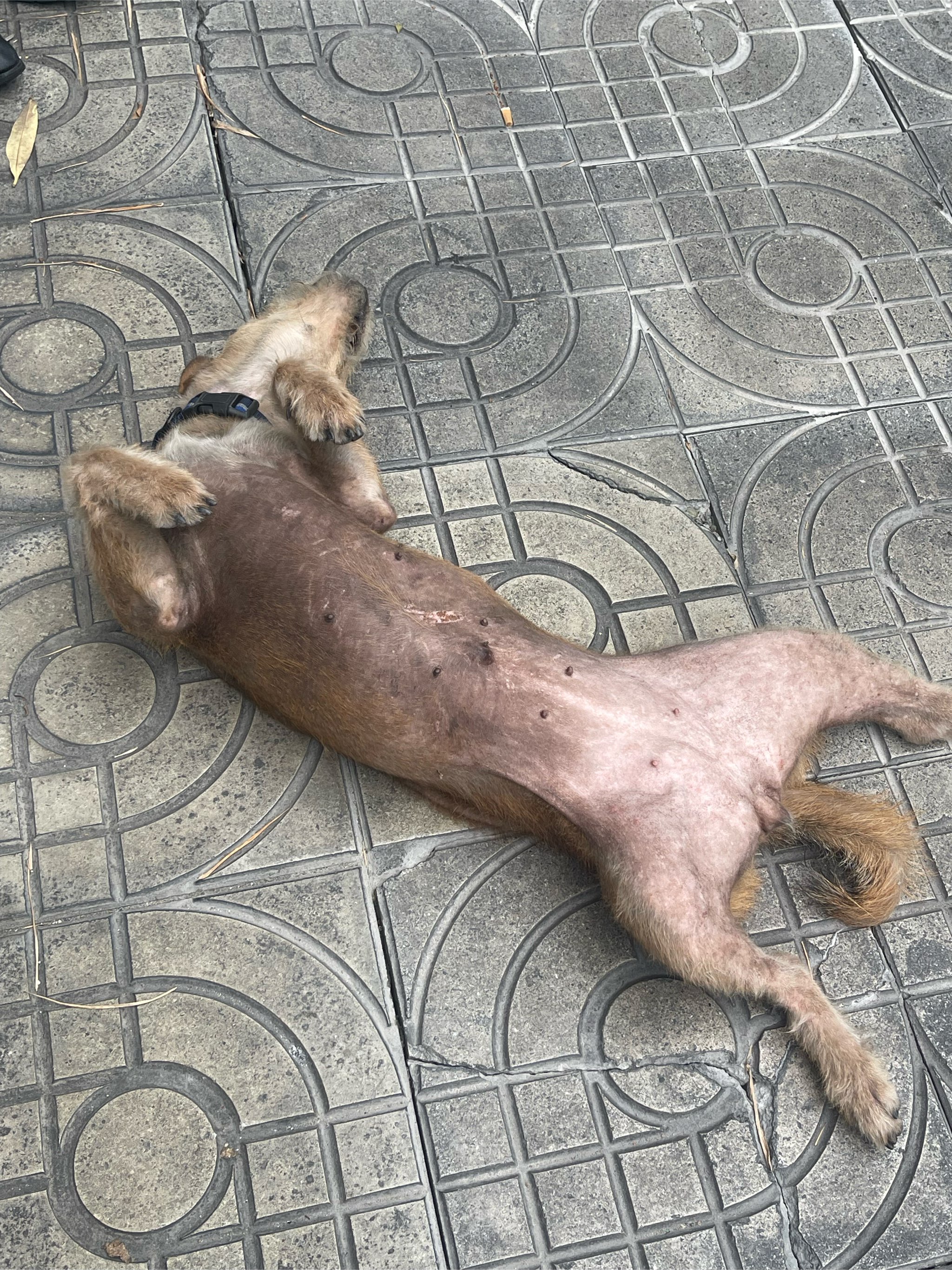 Mayji BNK48. Check out these amazing videos! - iAM48 Official Application