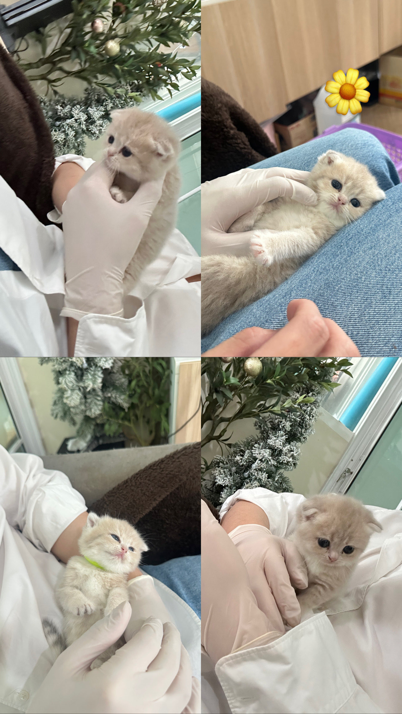 Angel CGM48. Check out these amazing videos! - iAM48 Official Application