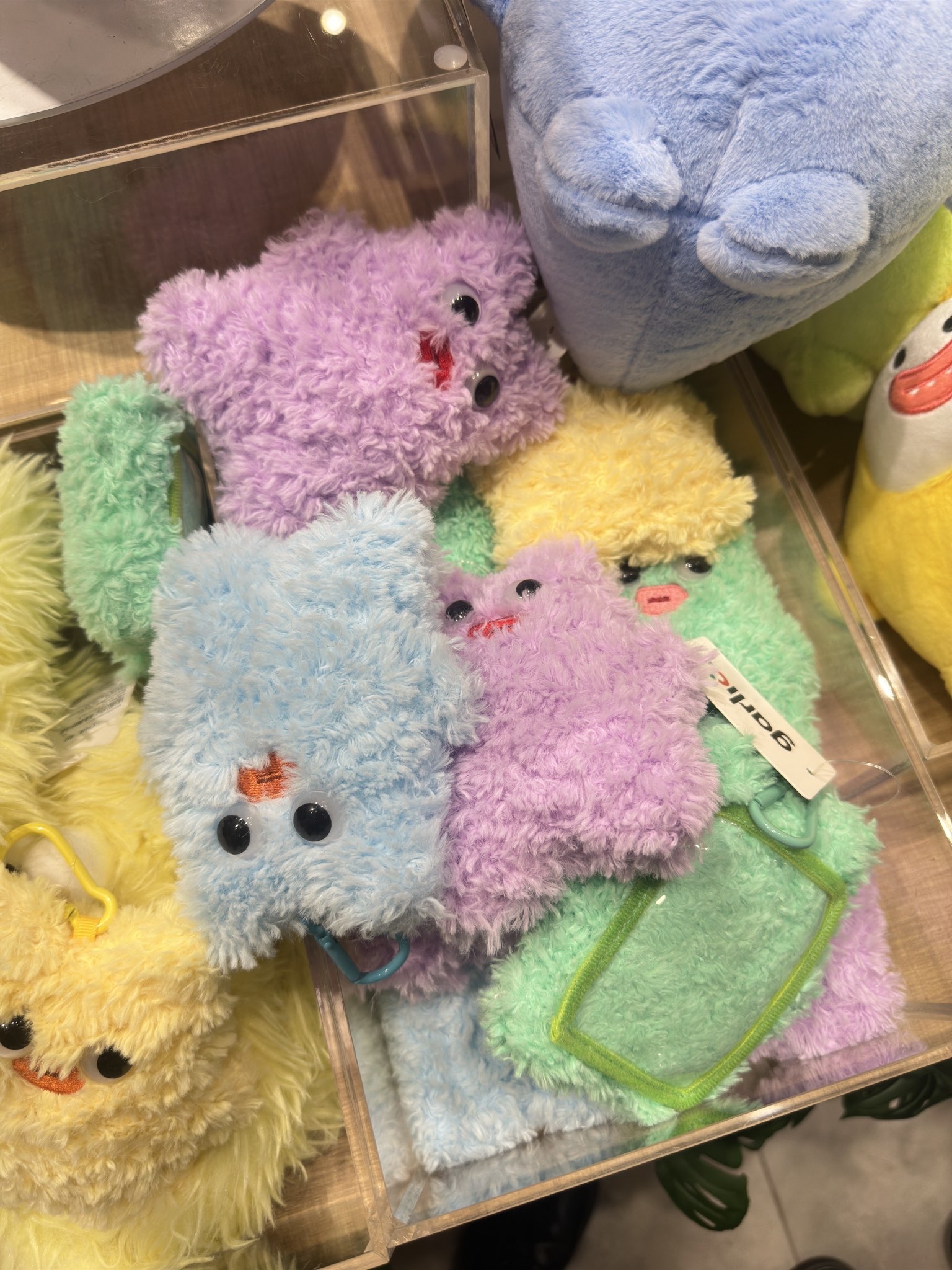 Check out Emma 's live! - iAM48 Official Application