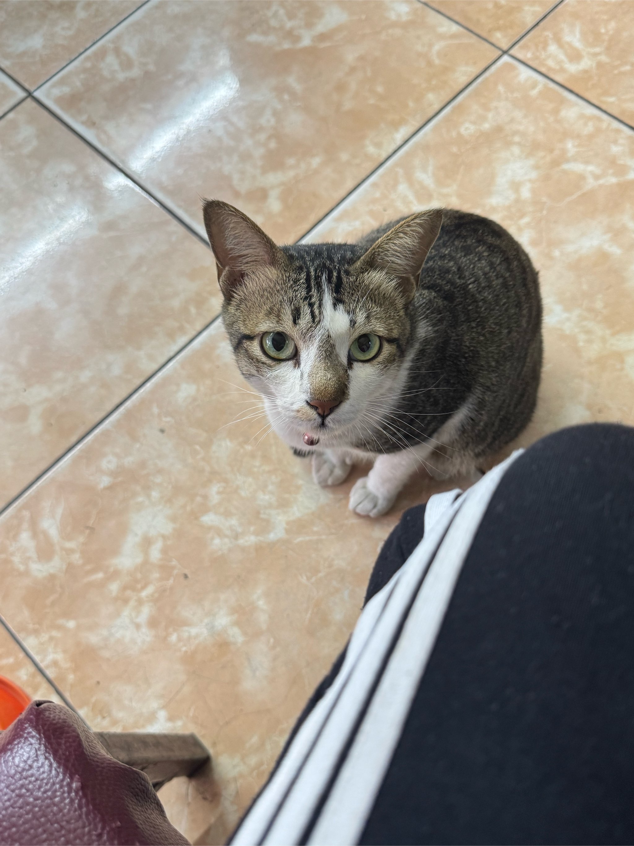 Check out Kyla 's live! - iAM48 Official Application